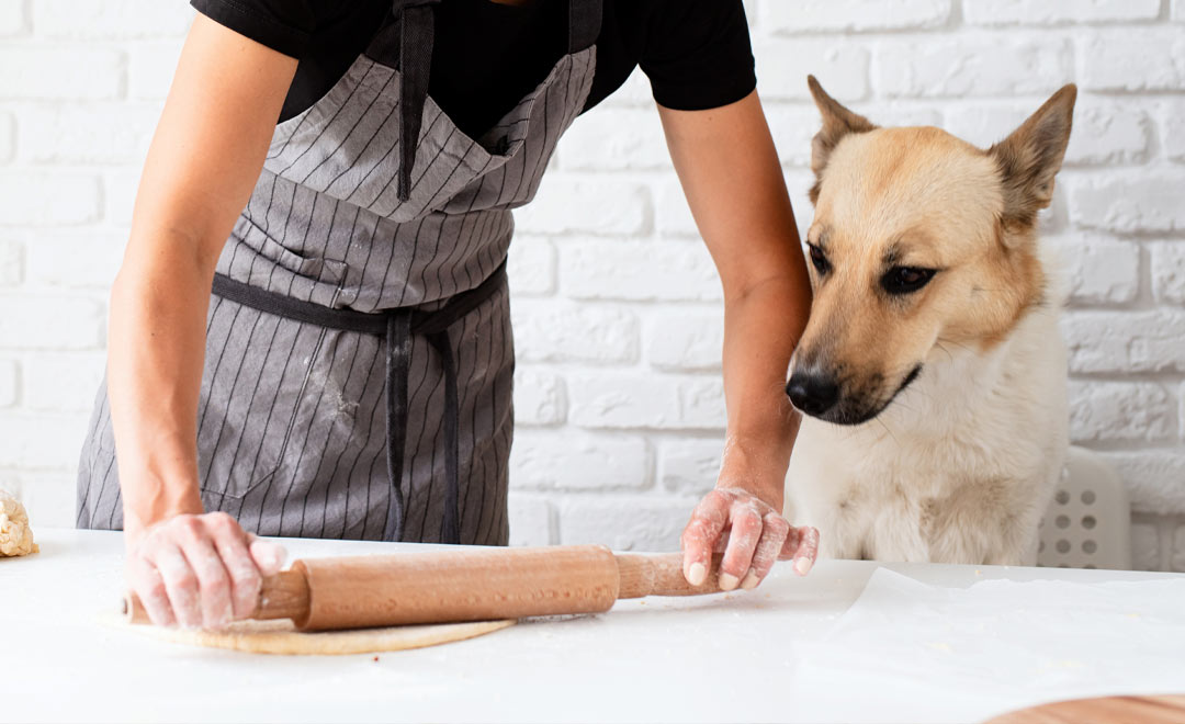 Homemade Dog Treats | National Baking Week – Dorwest