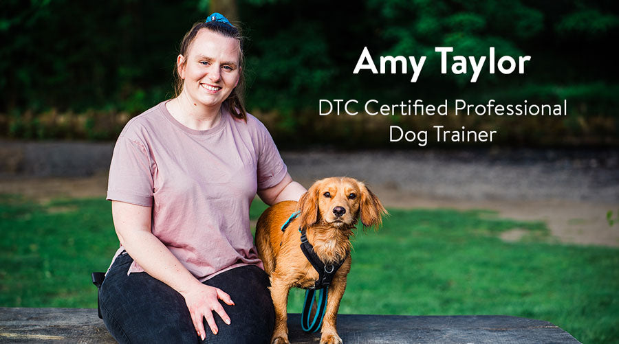 Prepare ahead for fireworks season with Amy Taylor – Dorwest