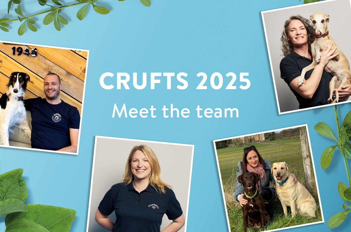 Crufts 2025: Meet the team! – Dorwest