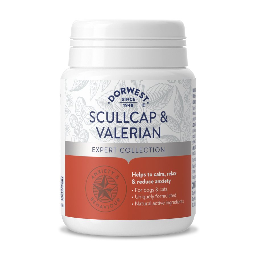 Scullcap & Valerian Tablets for Dogs and Cats | Dorwest Herbs