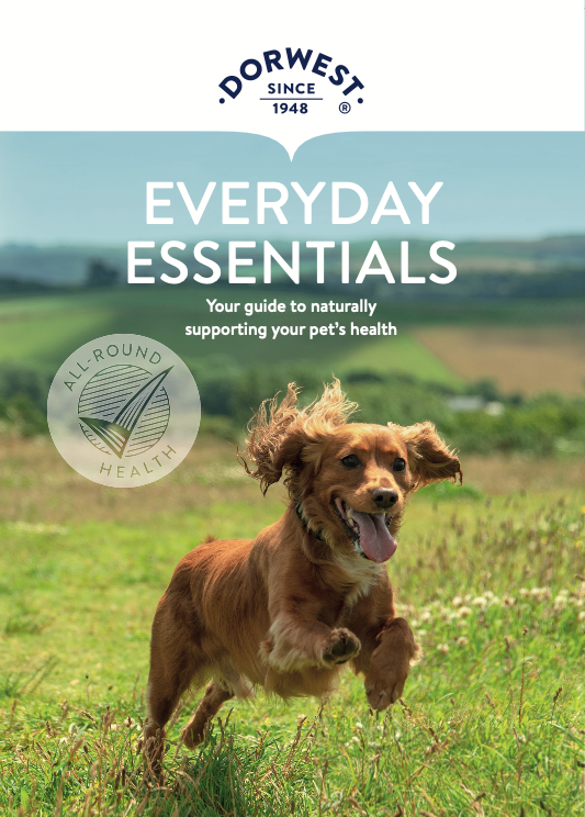 Everyday Essentials Leaflet – Dorwest
